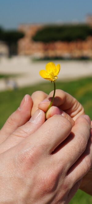 株式会社アリスエージェンシー｜滋賀県大津市を中心に土地探し・注文住宅・新築一戸建て・リノベーションをお考えの方は。 - alice housing